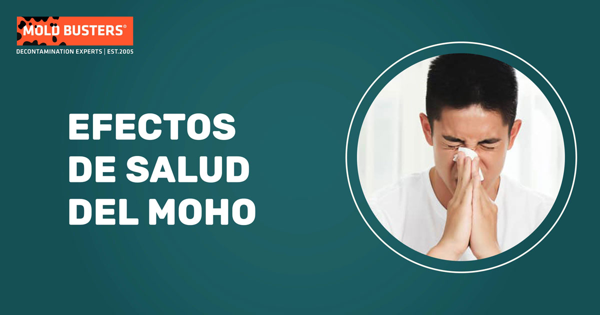 Efectos de Salud del Moho | Riesgos y Síntomas de la Exposición al Moho