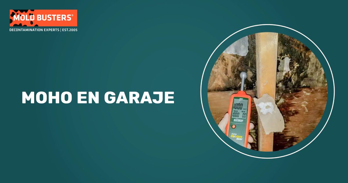 Moho en Garaje: Guía Completa de Eliminación y Prevención